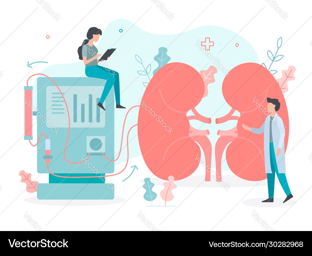 Dialysis procedure medical concept Royalty Free Vector Image