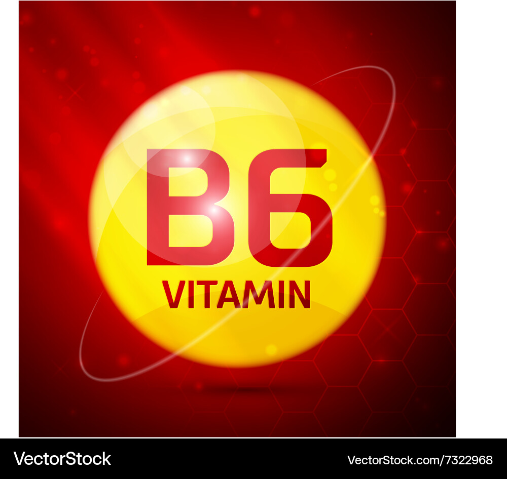 Vitamin b6 icon Royalty Free Vector Image - VectorStock