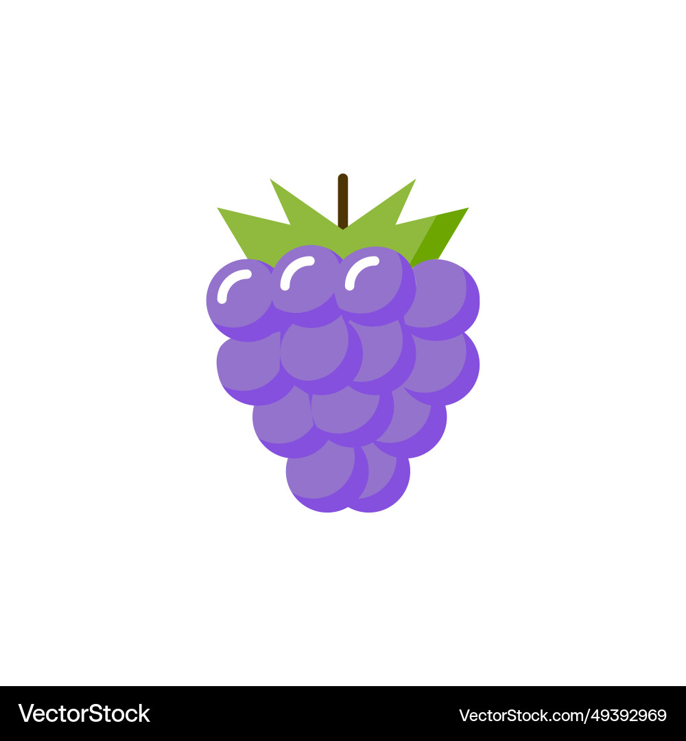 Grape bunch logo icon wine Royalty Free Vector Image