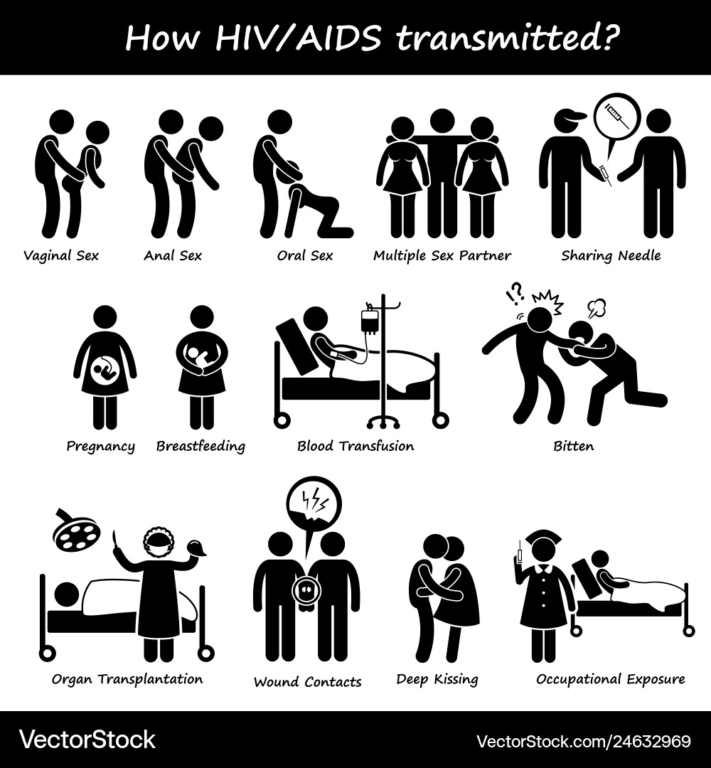 Wie hiv unterstützt Übertragung übertragen Vektor Bild verbreiten