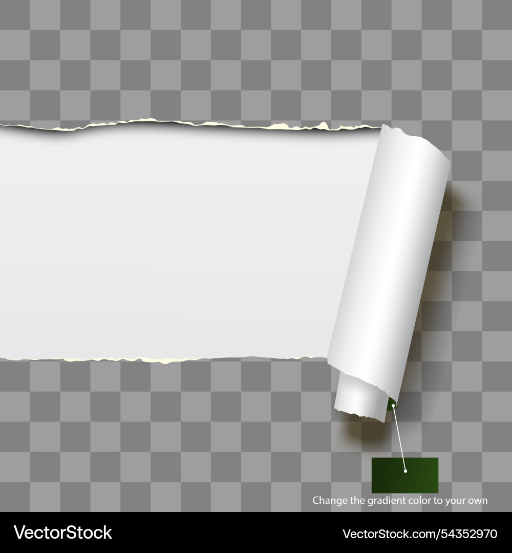 A white frame of torn and rolled up paper Vector Image