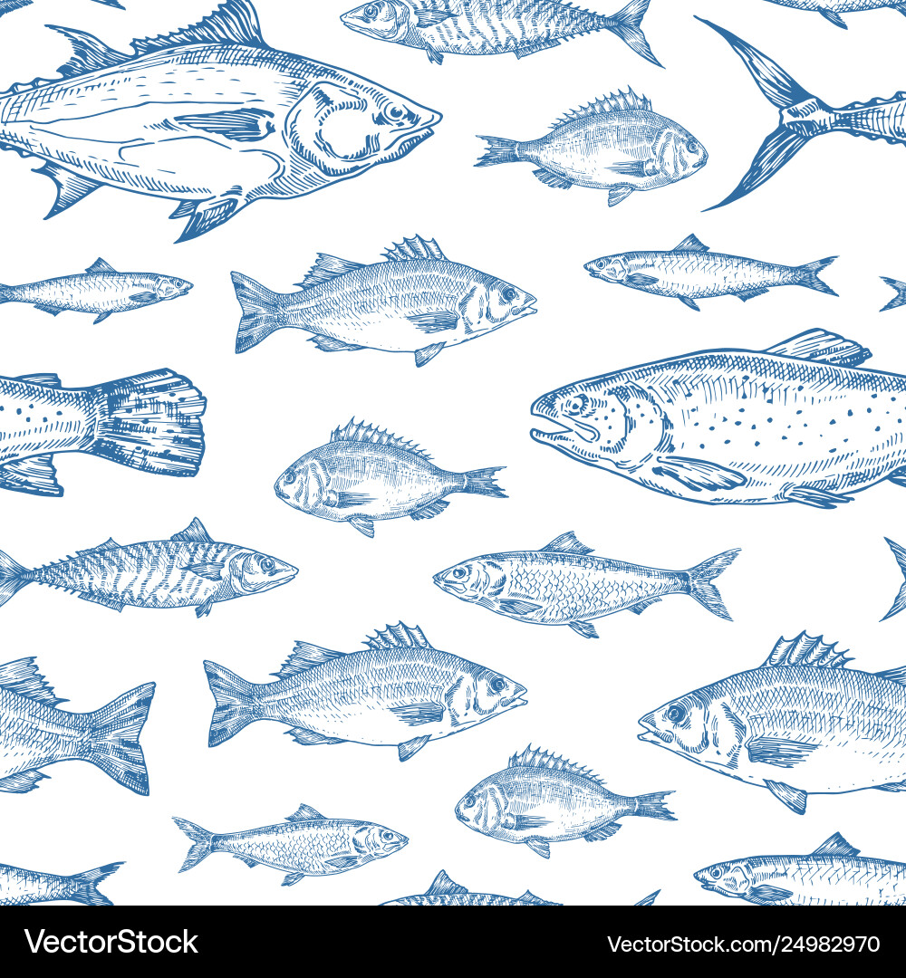 Hand Drawn Fish Pattern Vector Images (over 9,800)