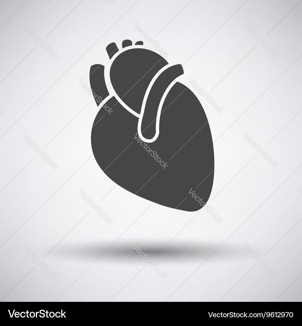 Human heart icon Royalty Free Vector Image - VectorStock