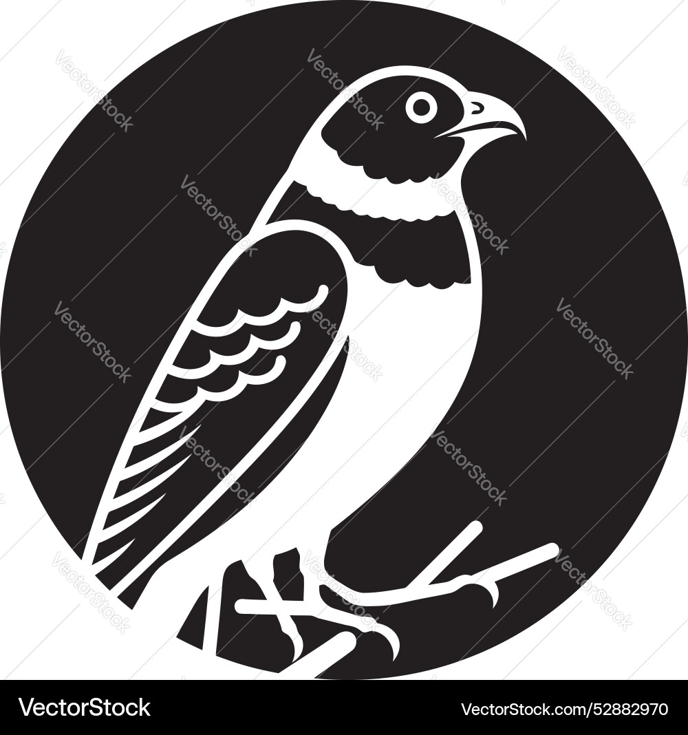 Inky black hunter aerial dominance unique Vector Image