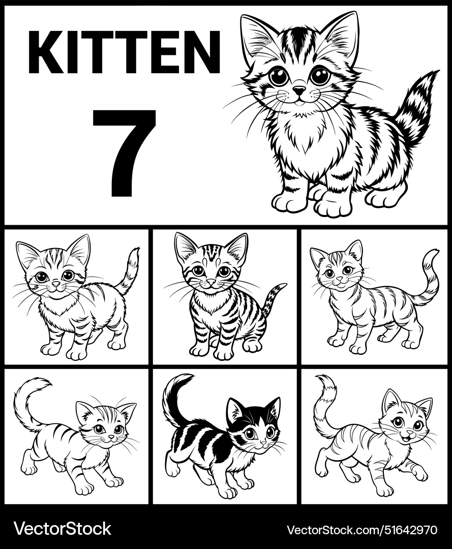 Kitten outline set detailed Royalty Free Vector Image