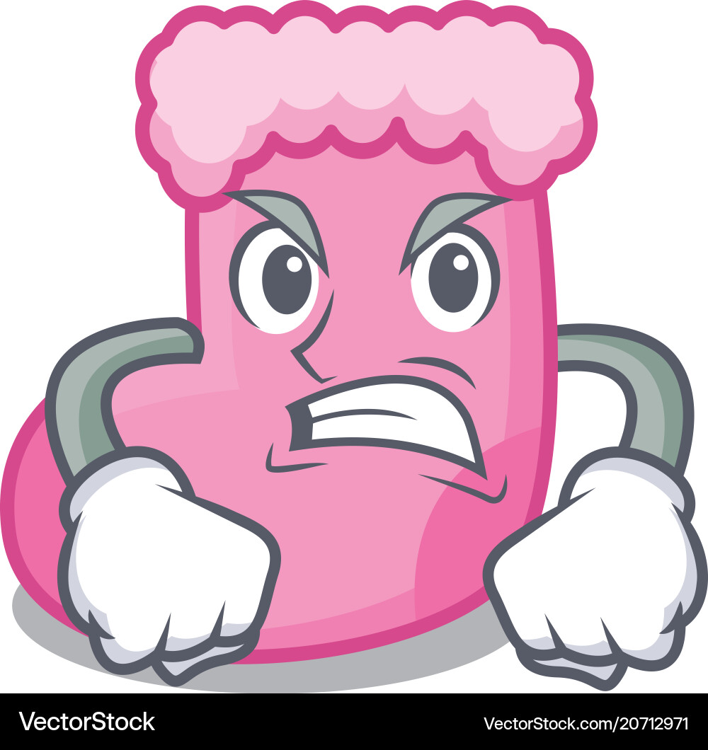 Angry sock mascot cartoon style Royalty Free Vector Image