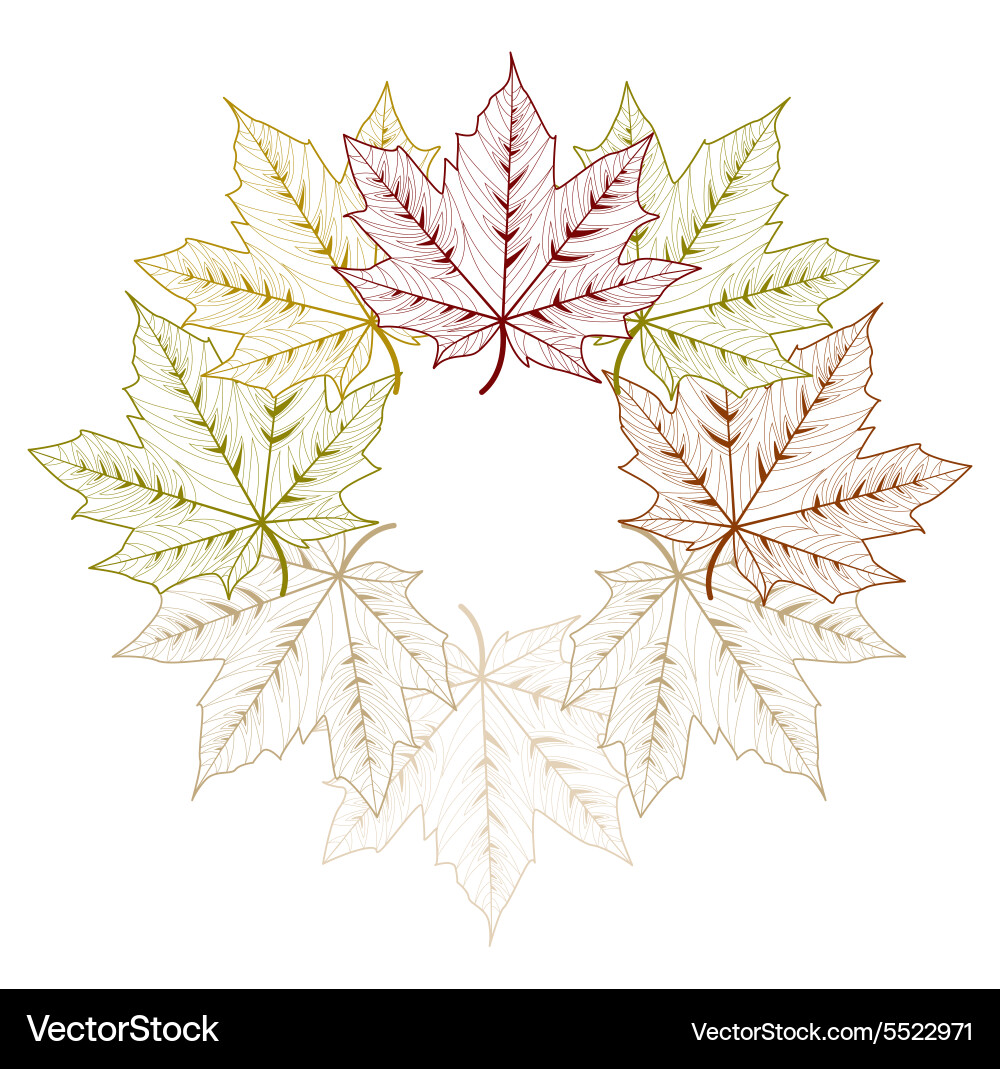 Maple leaves Royalty Free Vector Image - VectorStock