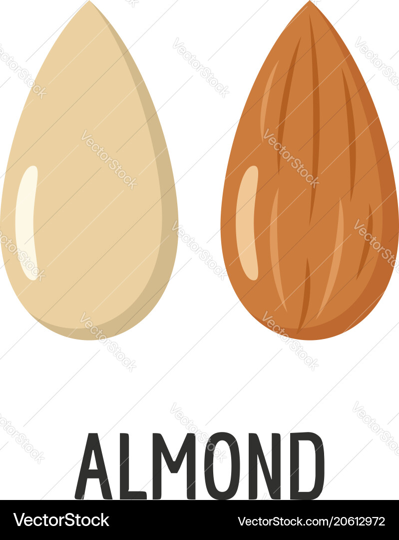 Almond icon flat style Royalty Free Vector Image