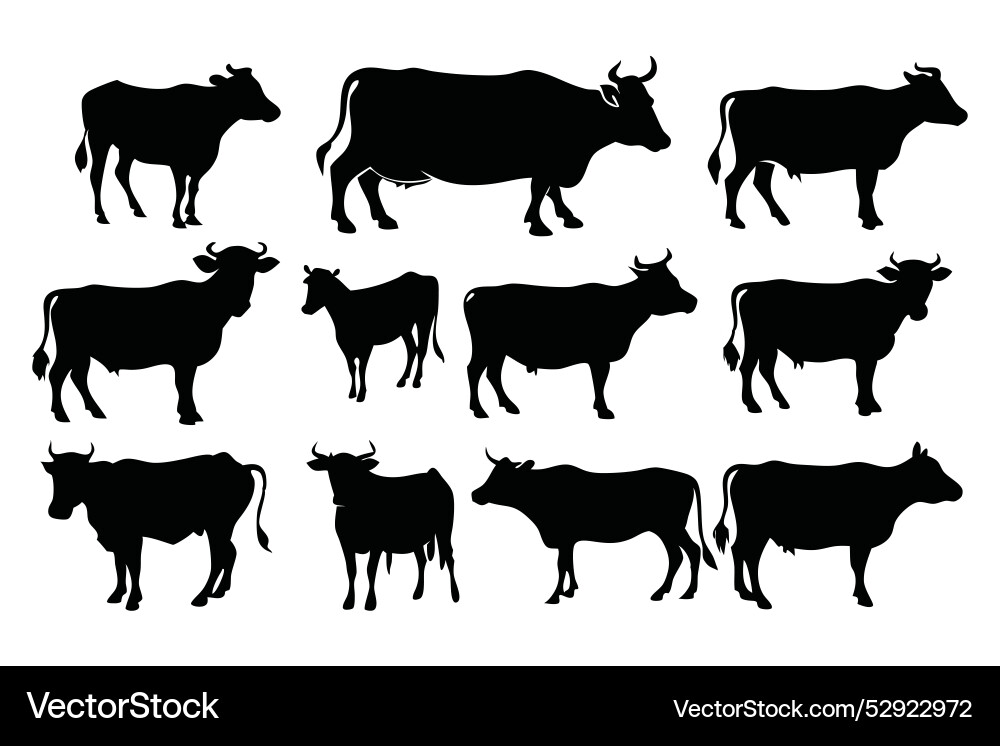 Cattle jump stand walk other pose black Royalty Free Vector