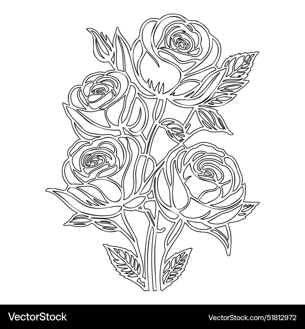 Roses flower outline sketch Royalty Free Vector Image