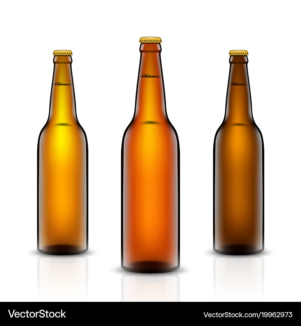Beer bottle set Royalty Free Vector Image - VectorStock