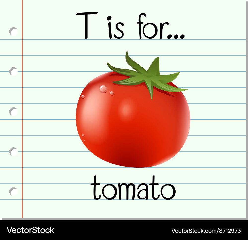 Flashcard letter t is for tomato Royalty Free Vector Image
