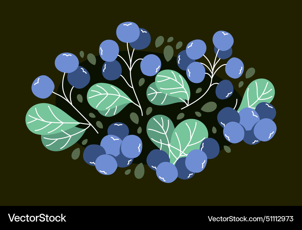 Fresh delicious ripe wild blueberry flat on dark Vector Image