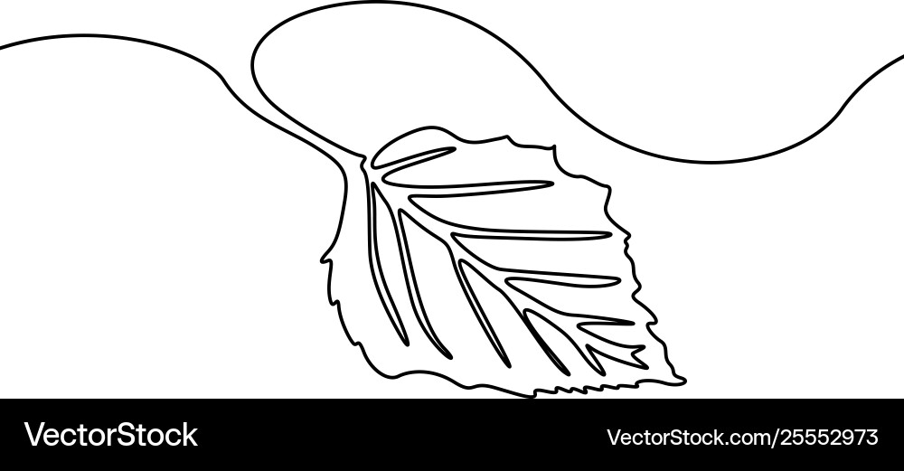 Single Line Leaf Drawing Royalty Free Vector Image