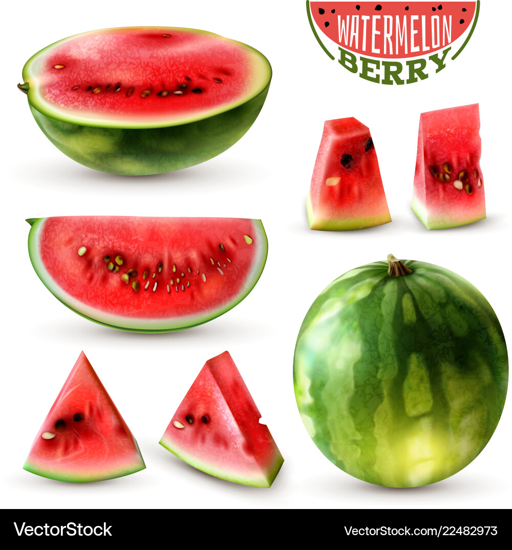 Watermelon realistic set Royalty Free Vector Image