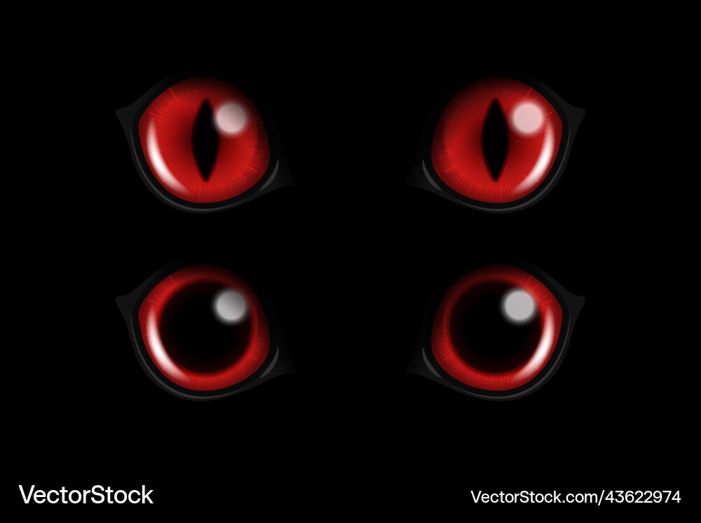 3d realistic red round glowing cats eyes Vector Image