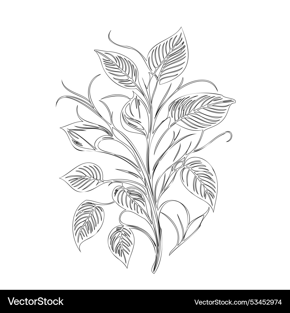 Oak tree nature outline sketch Royalty Free Vector Image