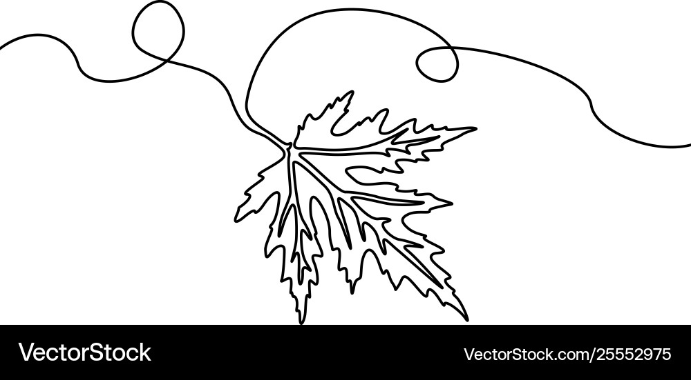 Continuous line maple leaf Royalty Free Vector Image