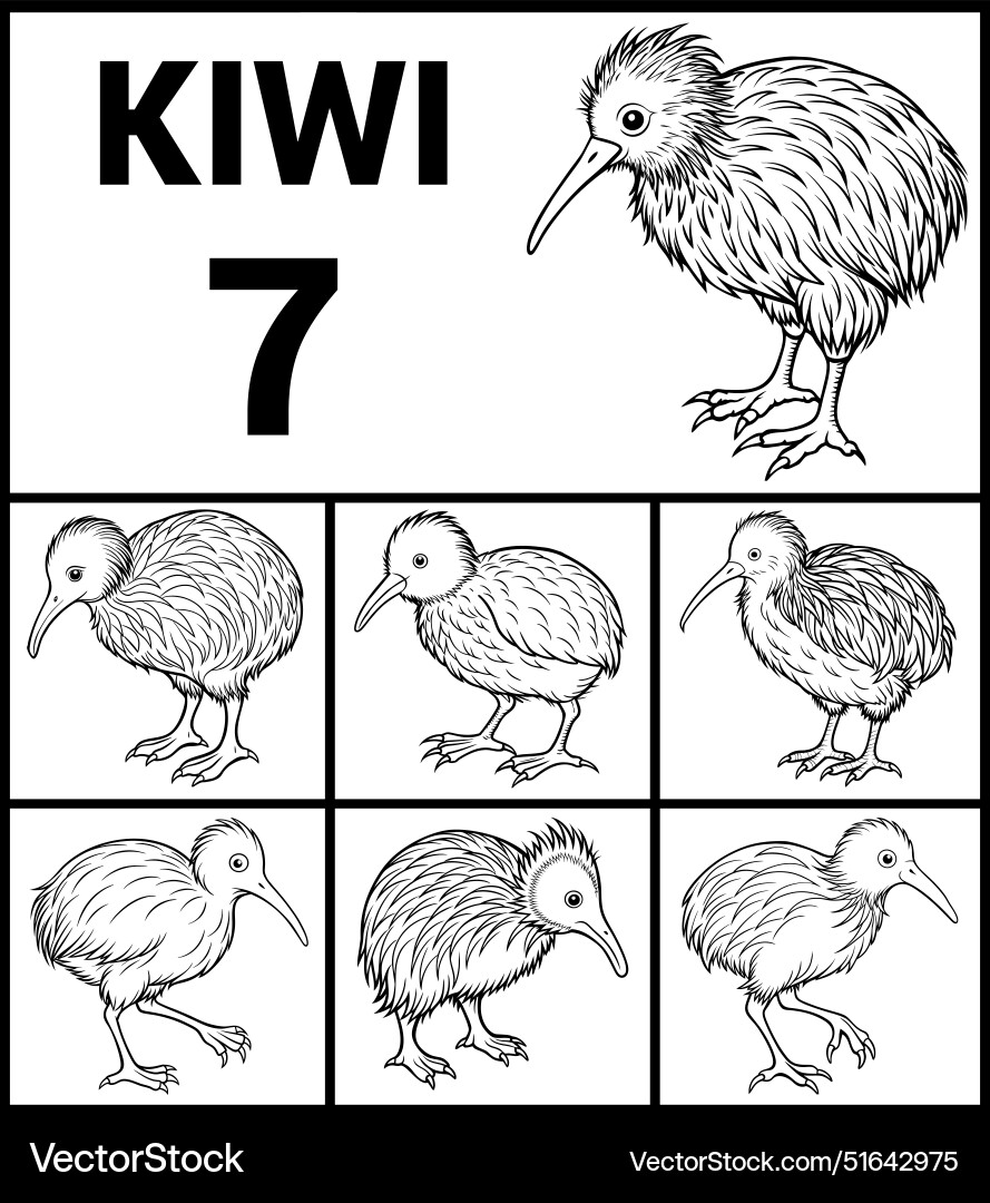 Kiwi outline set detailed Royalty Free Vector Image