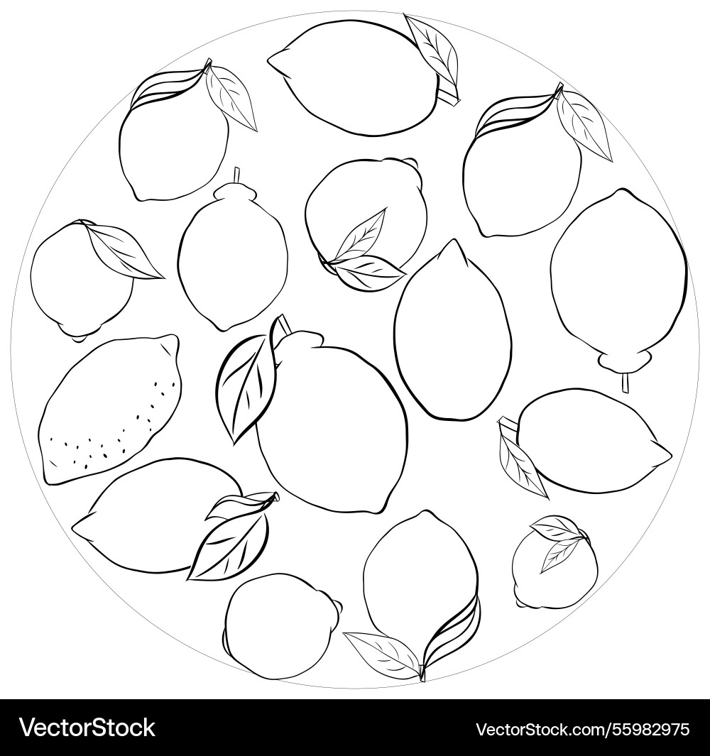 Lemons with leaves circle round composition Vector Image