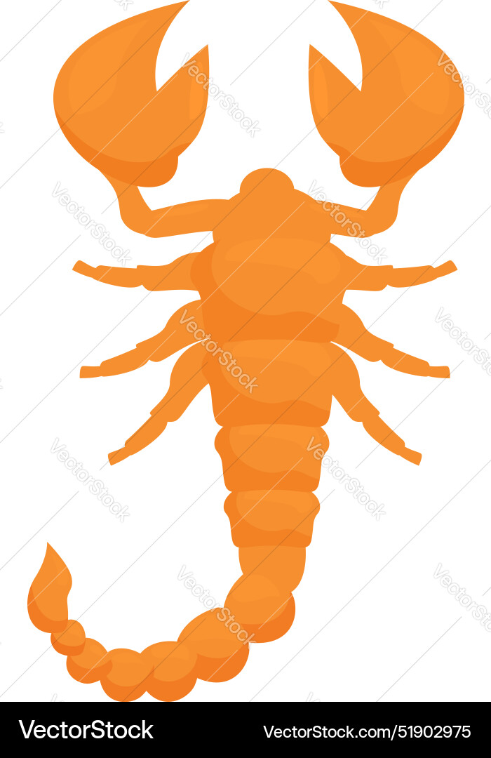 Orange scorpion standing showing its stinger Vector Image