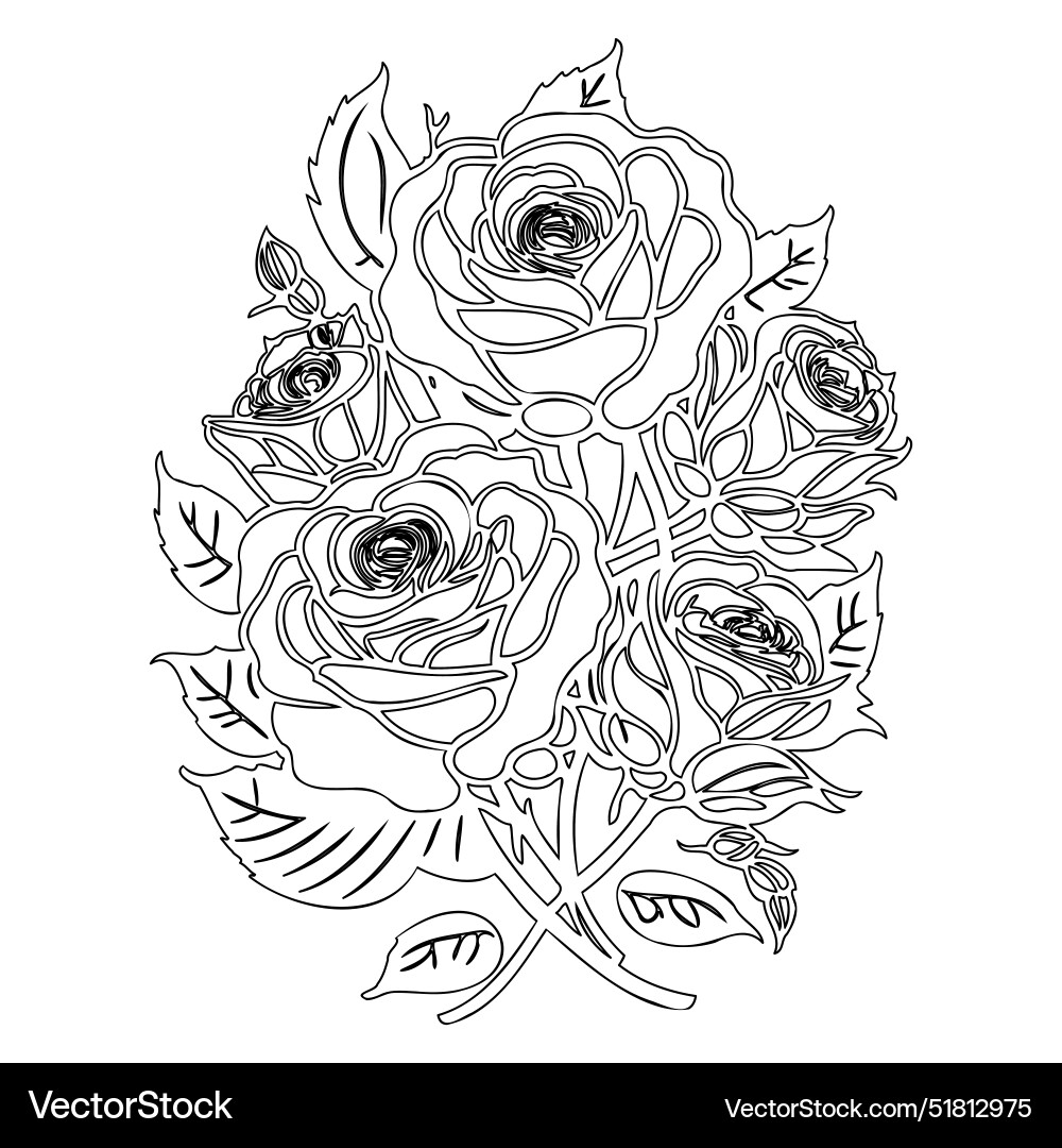 Roses flower outline sketch Royalty Free Vector Image