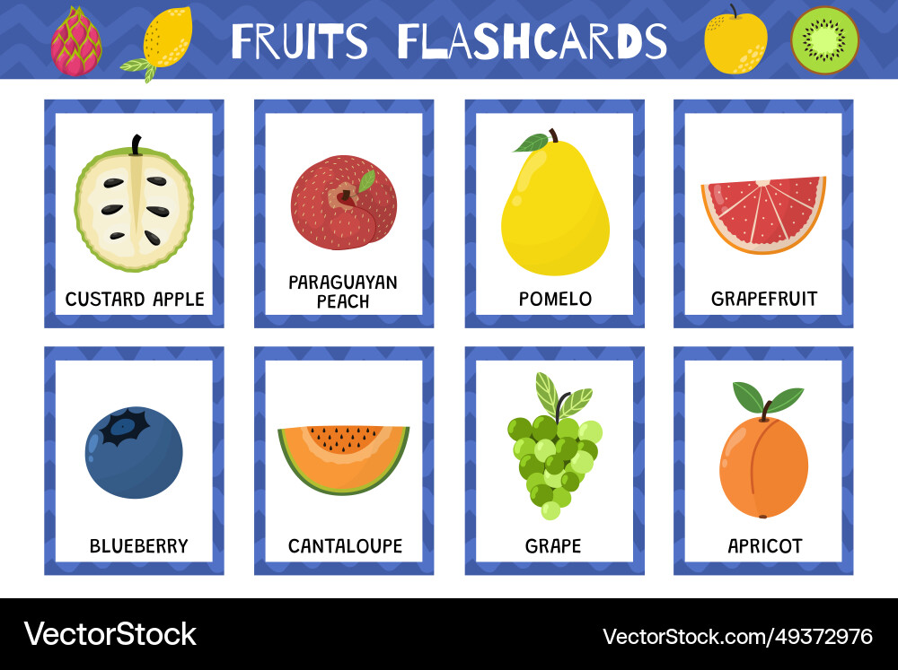 Fruits flashcards collection Royalty Free Vector Image