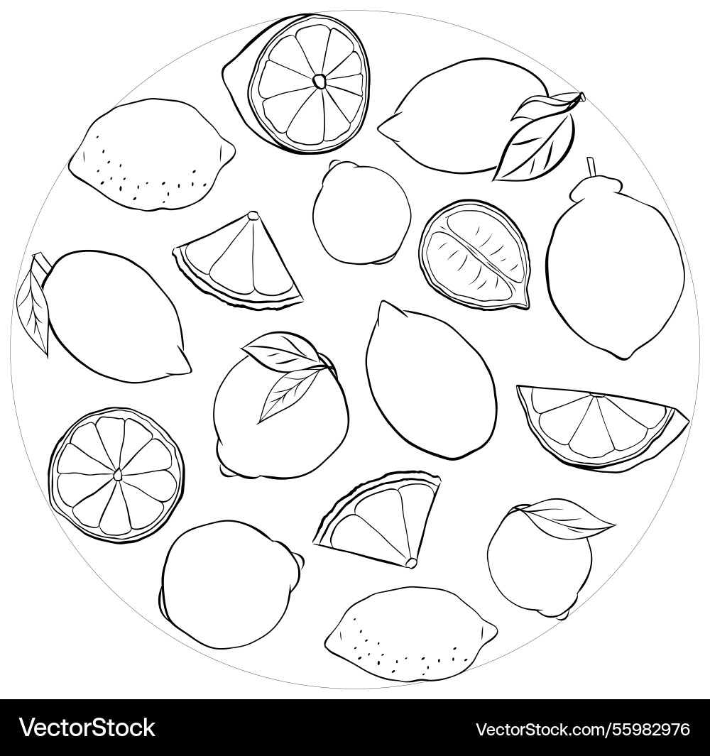 Lemon slice and whole with leaves circle round – Royalty-Free Vector ...