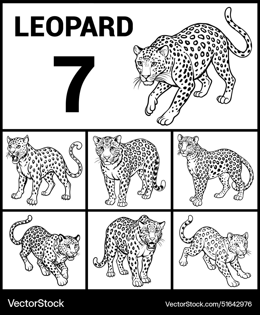 Leopard outline set detailed Royalty Free Vector Image