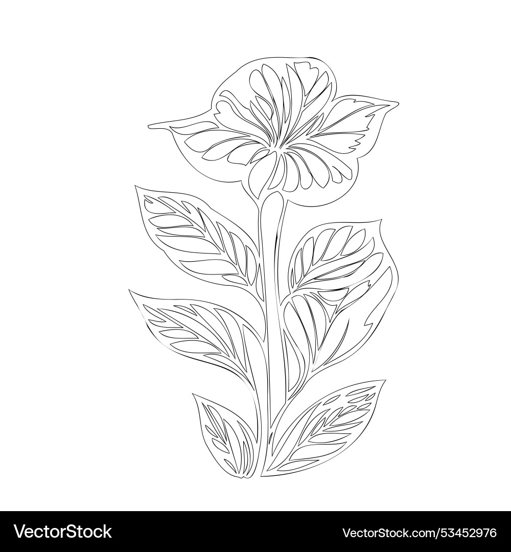 Oak tree nature outline sketch Royalty Free Vector Image