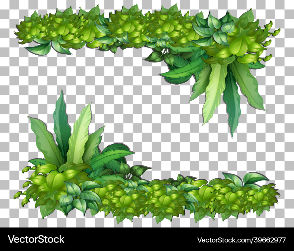 Nature plants frame transparent background Vector Image