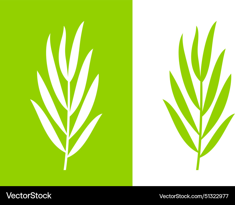 Tarragon Royalty Free Vector Image - VectorStock
