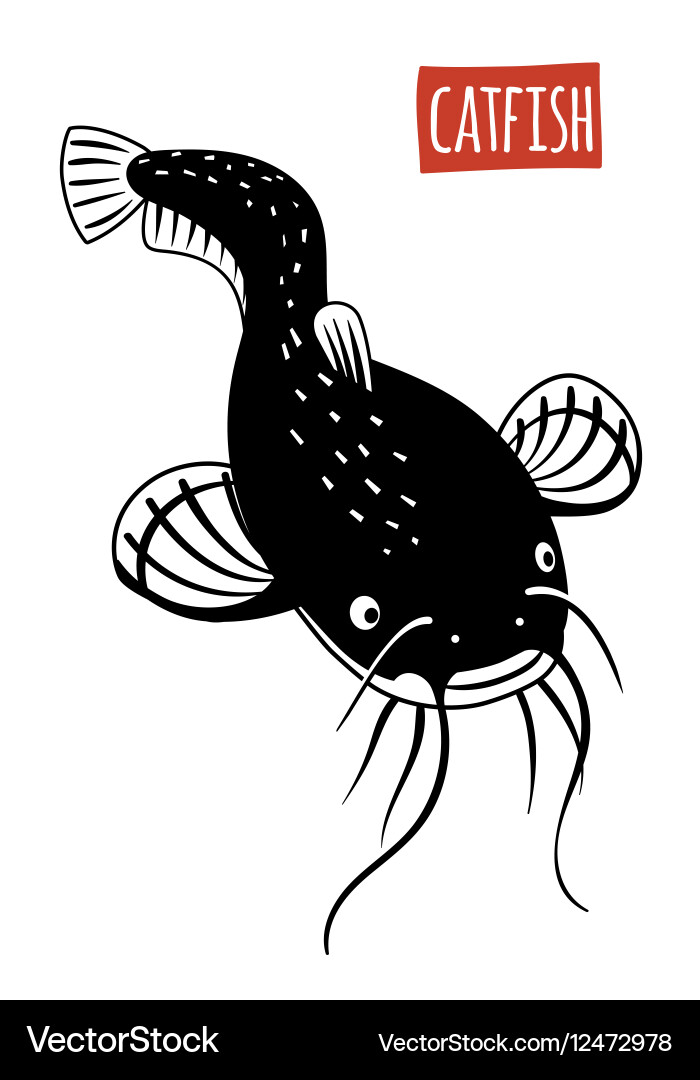 Catfish black and white Royalty Free Vector Image
