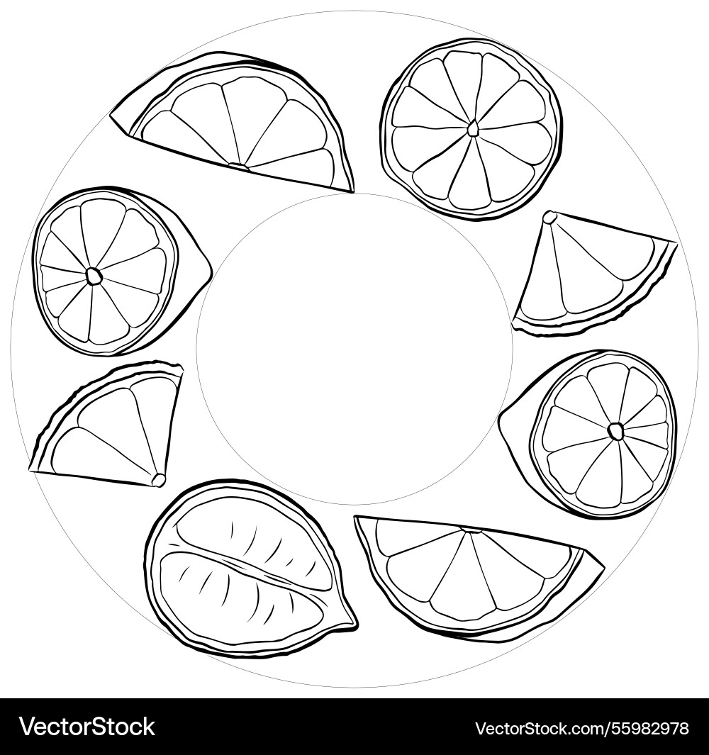 Lemon circle round frame drawing hand drawn Vector Image