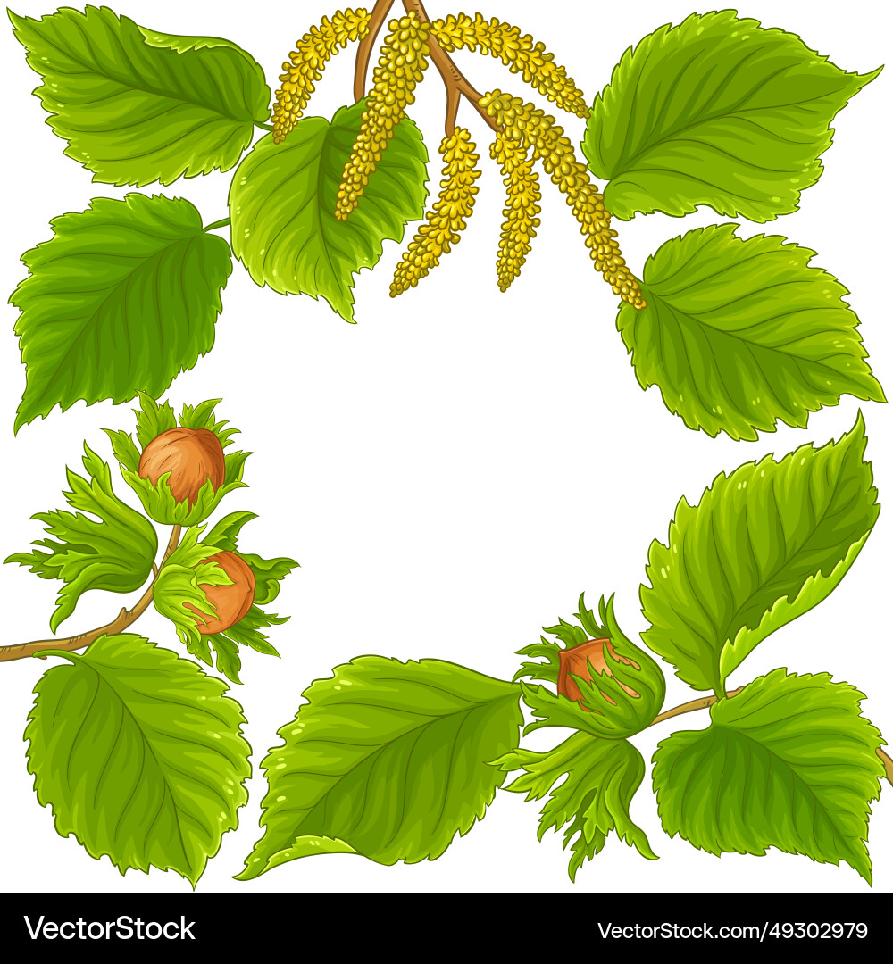 Hazelnut frame Royalty Free Vector Image - VectorStock
