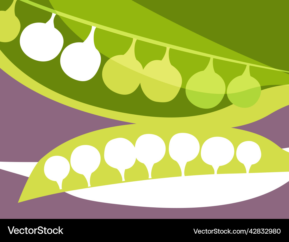 Abstract vegetable design of peas in a pod Vector Image