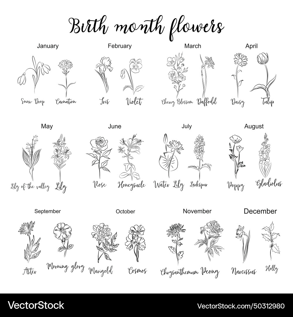 Birthday Month Flowers