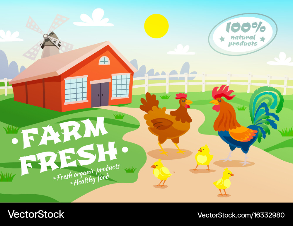 Chicken farm advertising background Royalty Free Vector