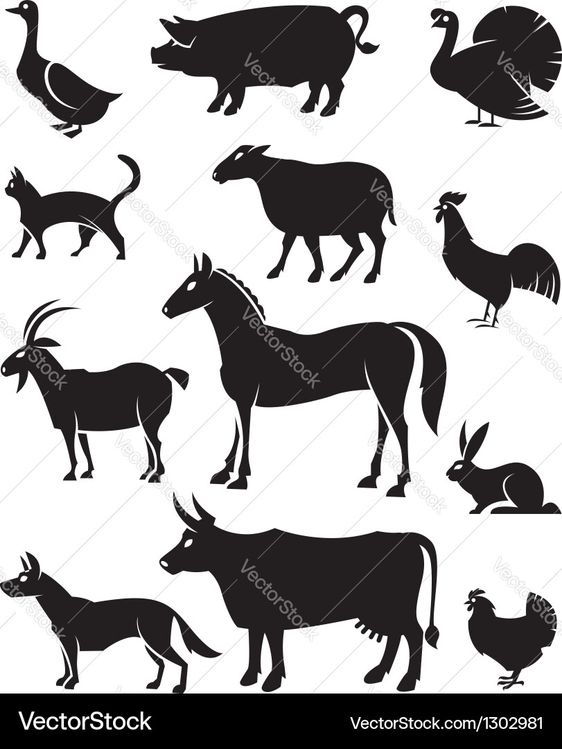 Farm animals Royalty Free Vector Image - VectorStock