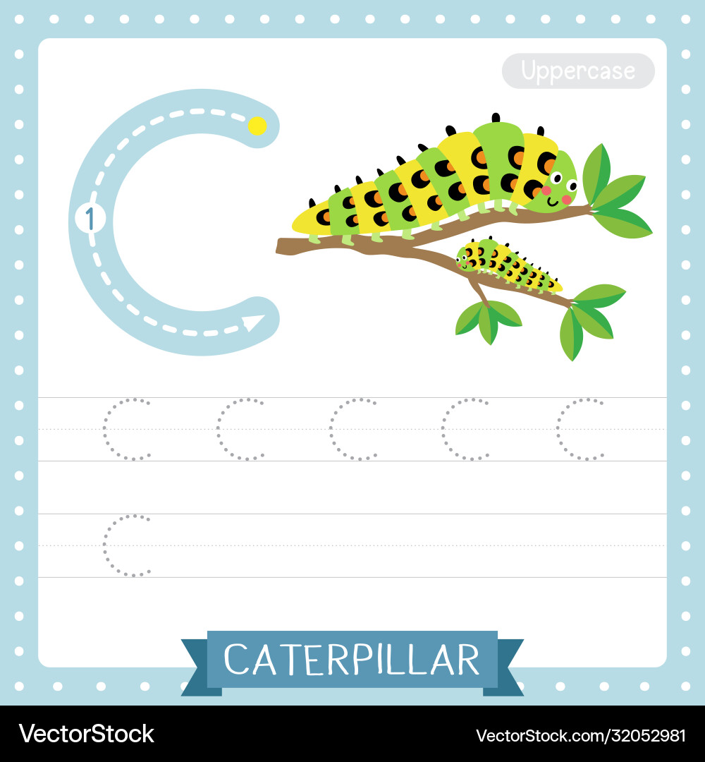Letter c uppercase tracing practice worksheet Vector Image