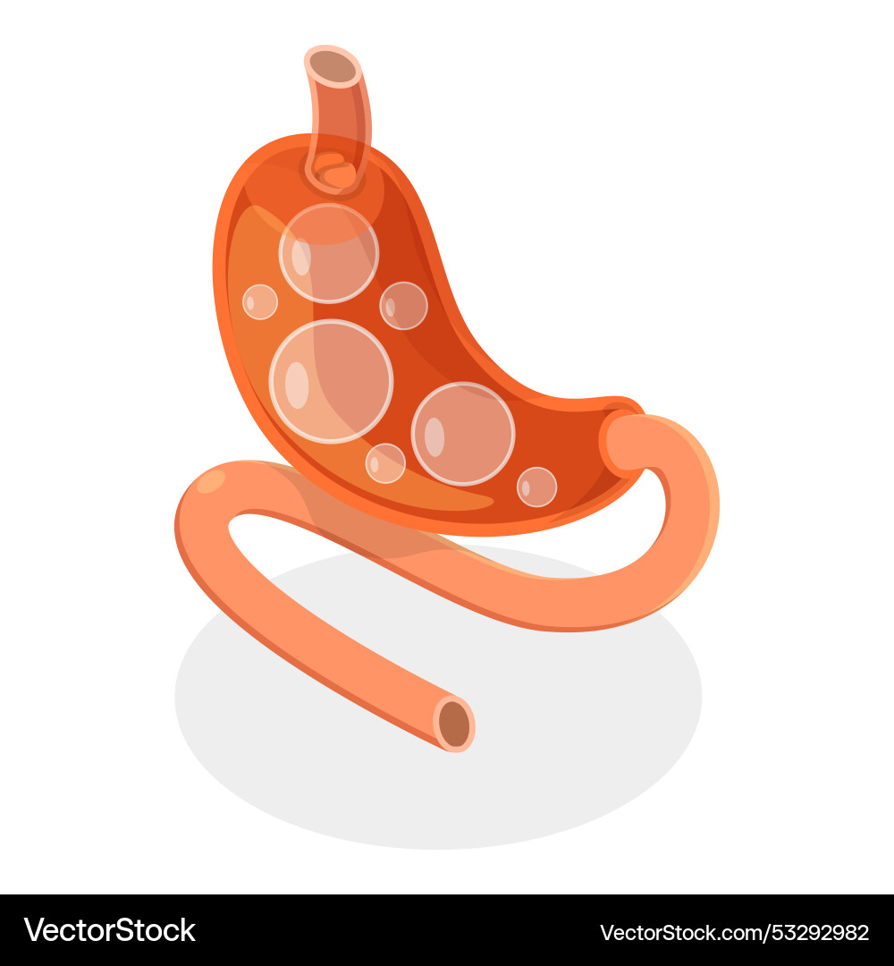 3d isometric flat set of stomach problems Vector Image