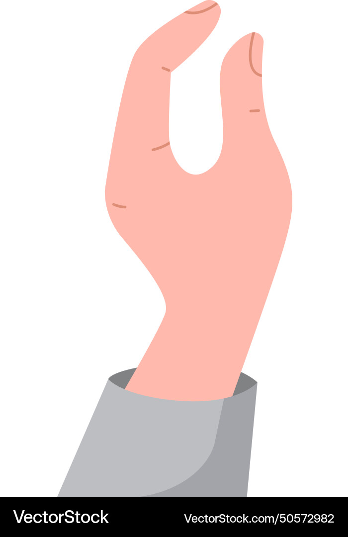 Hand holding gesture Royalty Free Vector Image