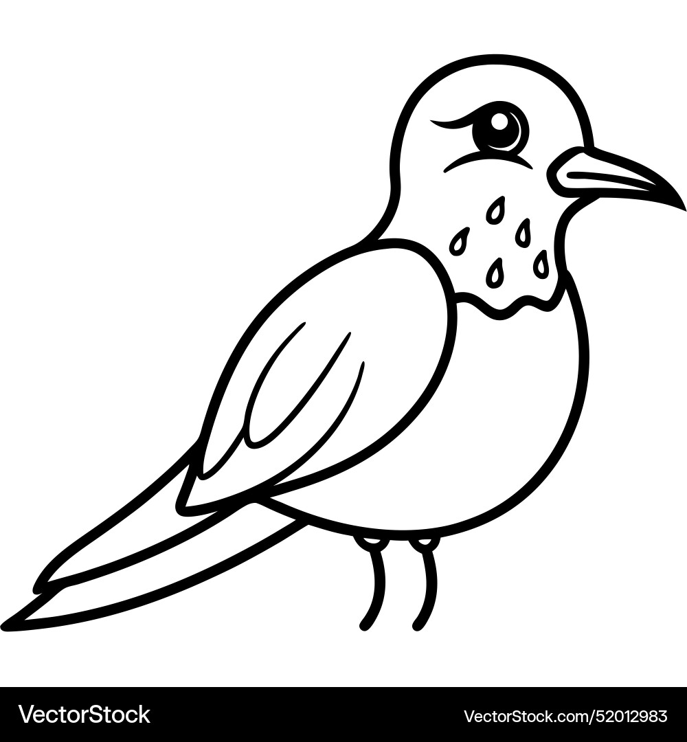 Galapagos mockingbird bird learns icon Royalty Free Vector