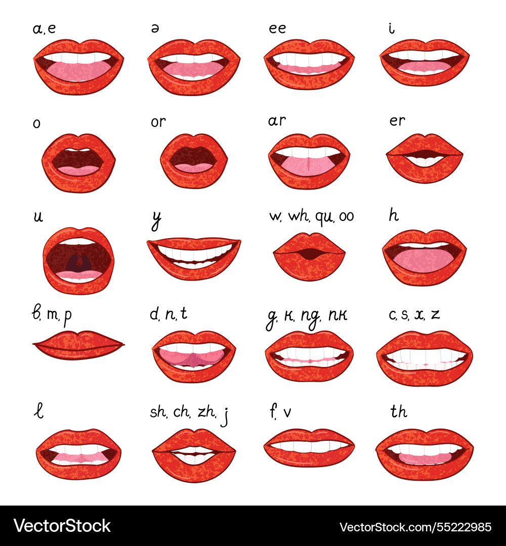 Set of oral articulation Royalty Free Vector Image