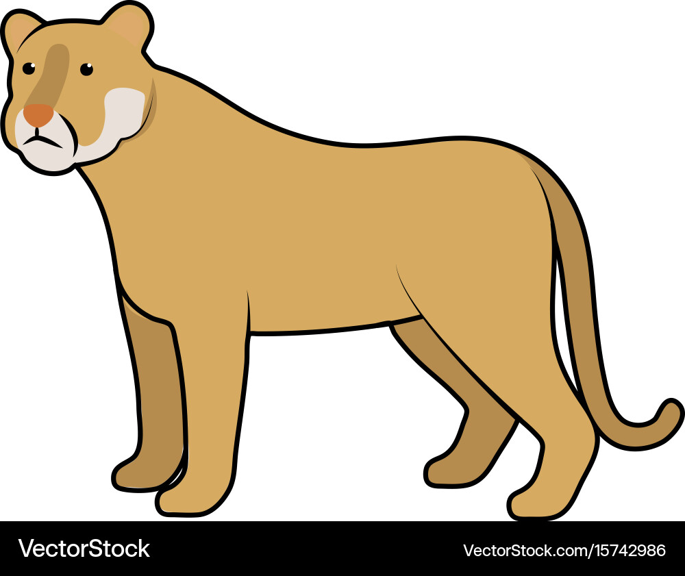 Cougar Royalty Free Vector Image - VectorStock