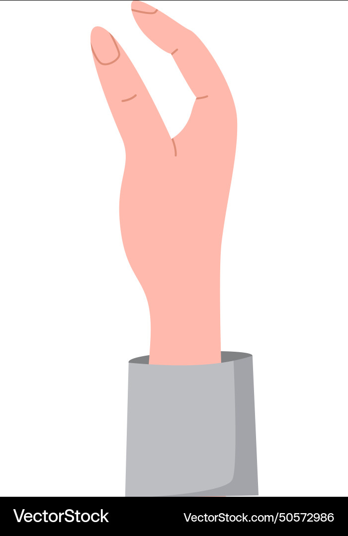 Hand holding gesture Royalty Free Vector Image