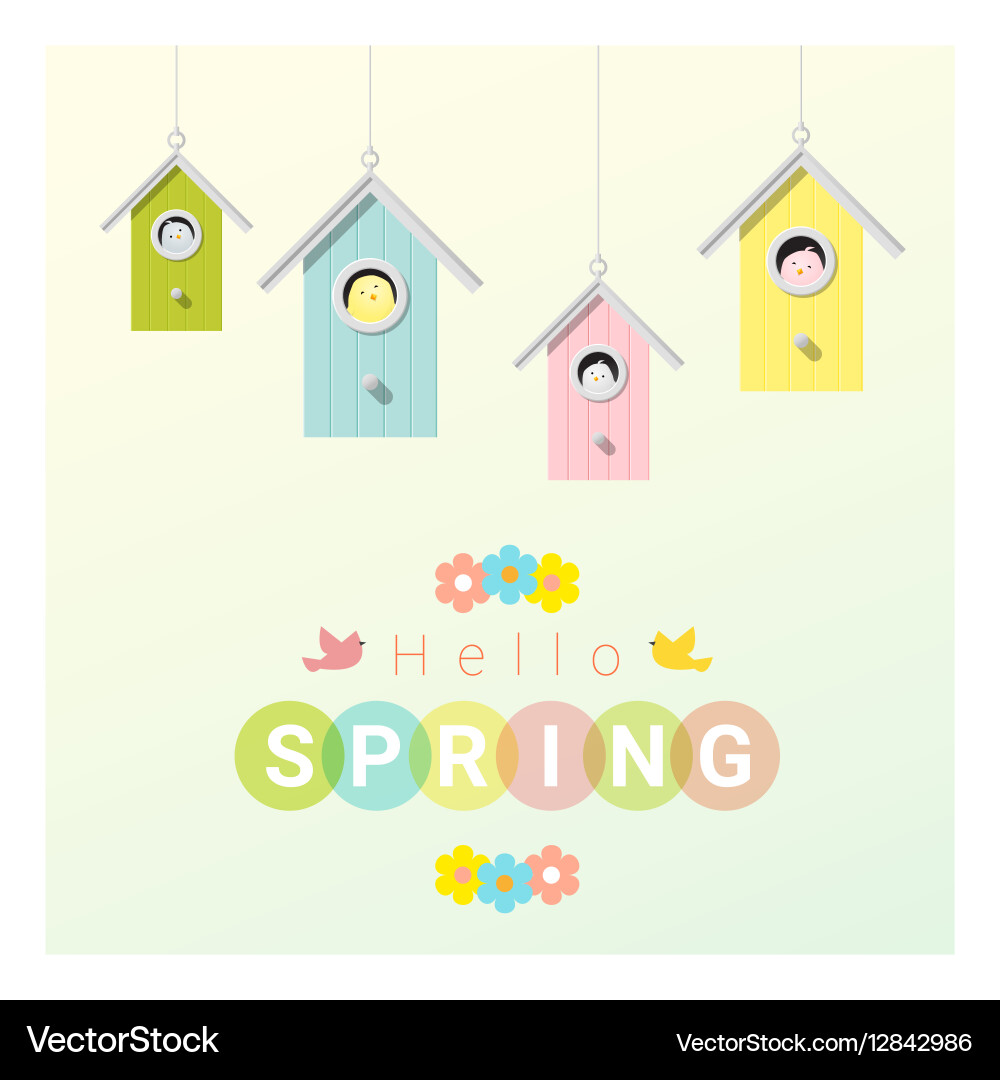 Hello spring background with little birds Vector Image