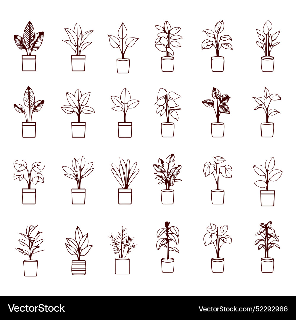 Line art drawing plant flower Royalty Free Vector Image