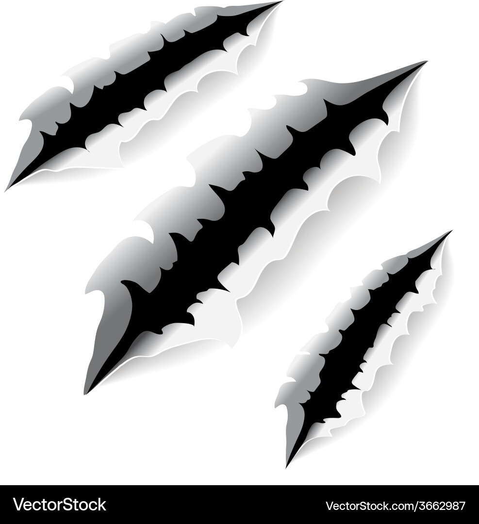 An of a monster claw or hand scratch rip Vector Image