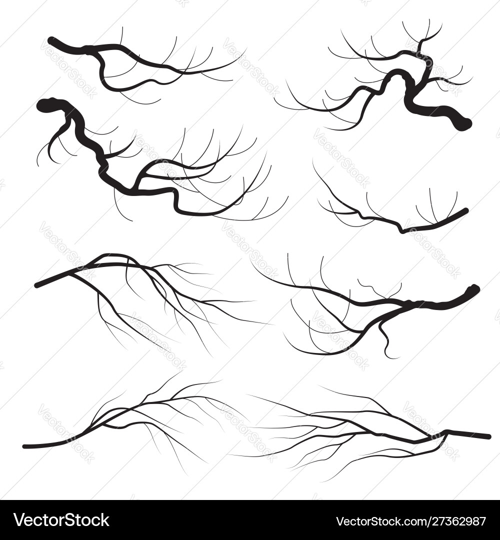 Tree branches silhouette set Royalty Free Vector Image